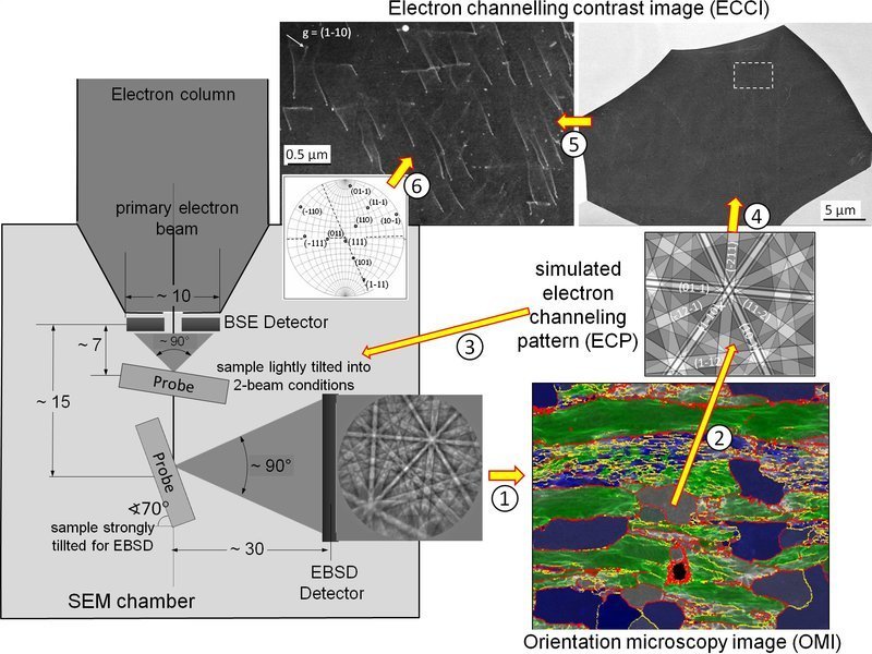 Electron channeling contrast imaging - ECCI | Max-Planck-Institut für Eisenforschung GmbH