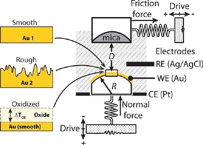 Surface Force Apparatus | Max-Planck-Institut für Eisenforschung GmbH