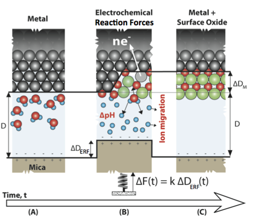 Electric double layers | Max-Planck-Institut für Eisenforschung GmbH
