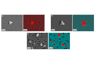 Solid state dewetting behavior of CoCu alloy films