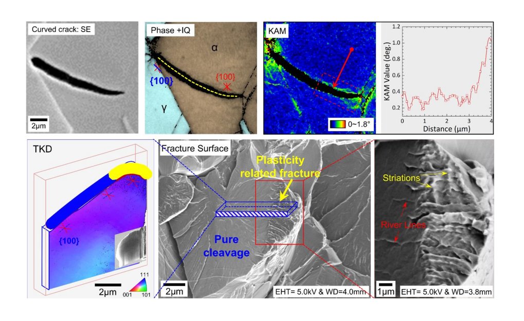 Hydrogen-associated decohesion and localized plasticity in a high-Mn ...