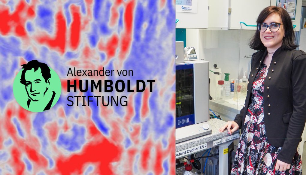 Bessere Eisenlegierungen für einen nachhaltigen Energiesektor